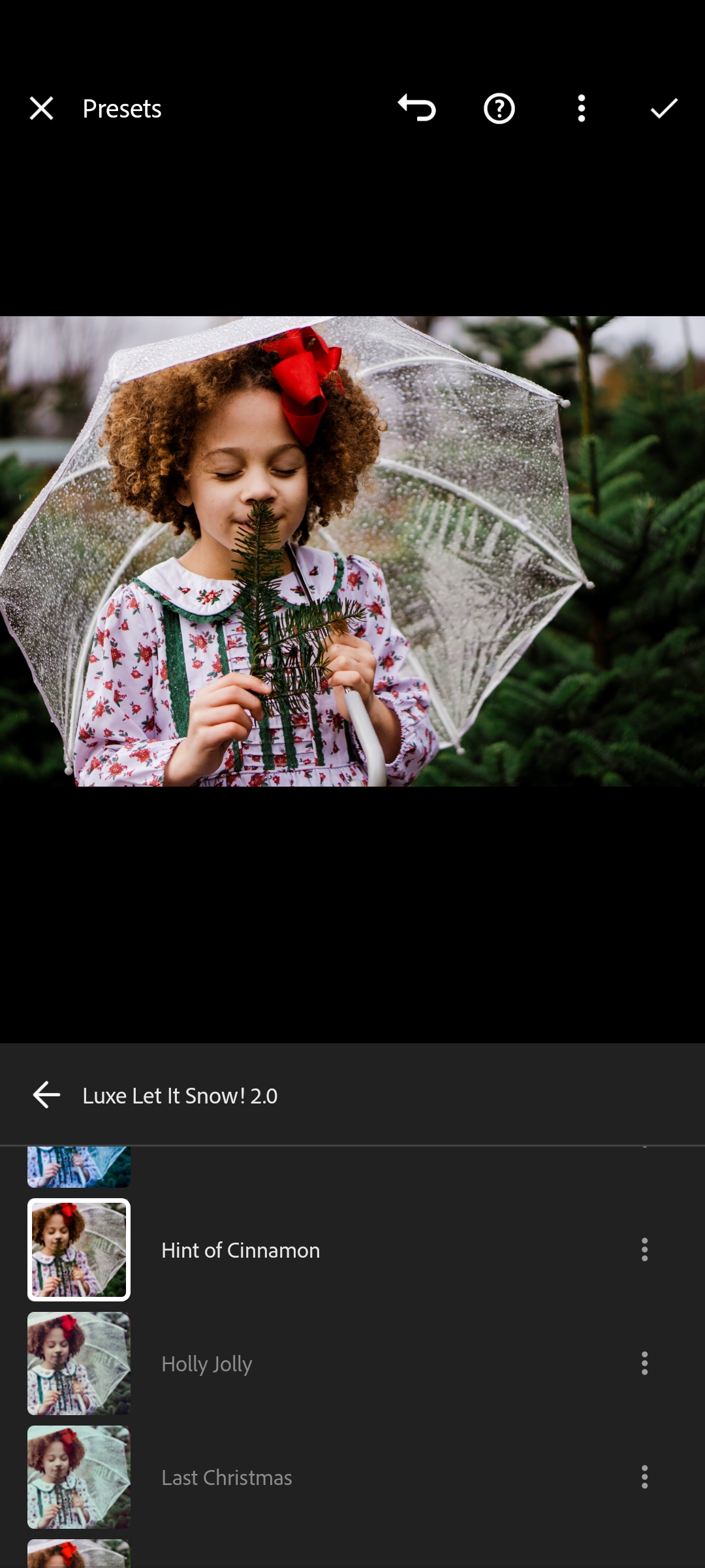 Luxe Let it Snow! 2.0 Presets & Effects Guide – The Luxe Lens