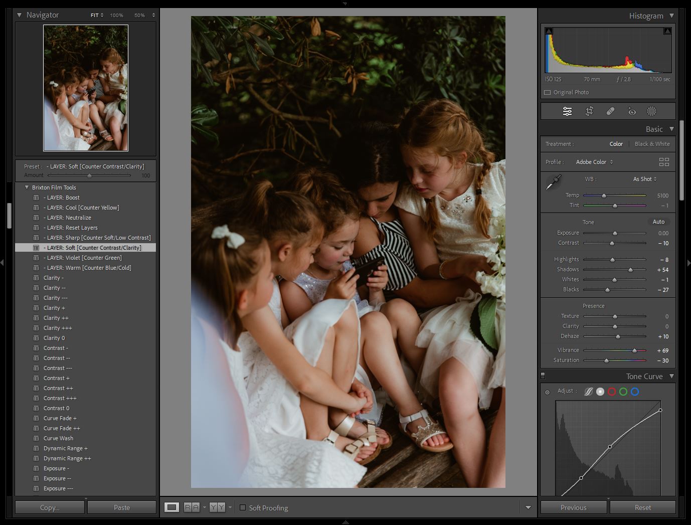 Brixton Film - Earthy Moods 2.0 Guide – The Luxe Lens