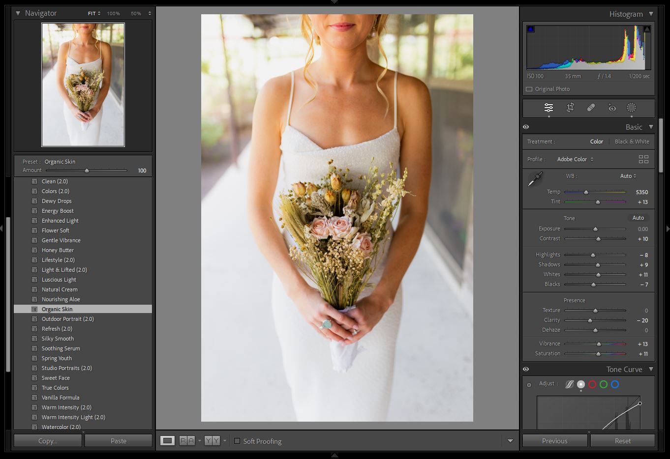 AI Effects Toolkits - How to Use Your Presets – The Luxe Lens