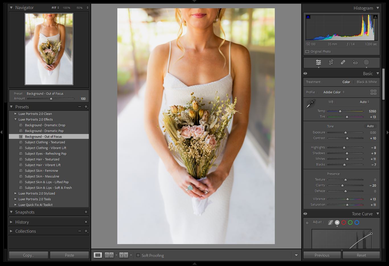 AI Effects Toolkits - How to Use Your Presets – The Luxe Lens