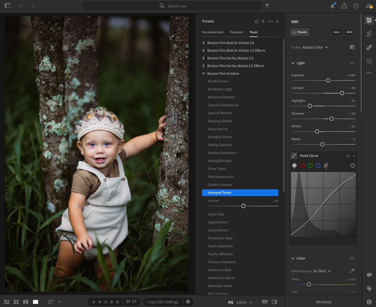 AI Effects Toolkits - How to Use Your Presets – The Luxe Lens