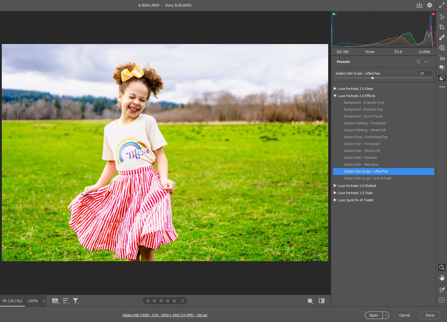 AI Effects Toolkits - How to Use Your Presets – The Luxe Lens