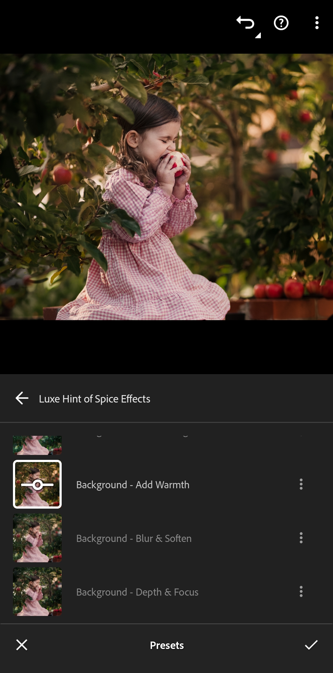 AI Effects Toolkits - How to Use Your Presets – The Luxe Lens