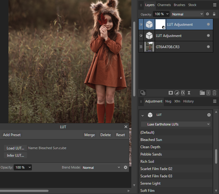How to Import & Use LUTs in Affinity Photo - Luxe LUTs – The Luxe Lens