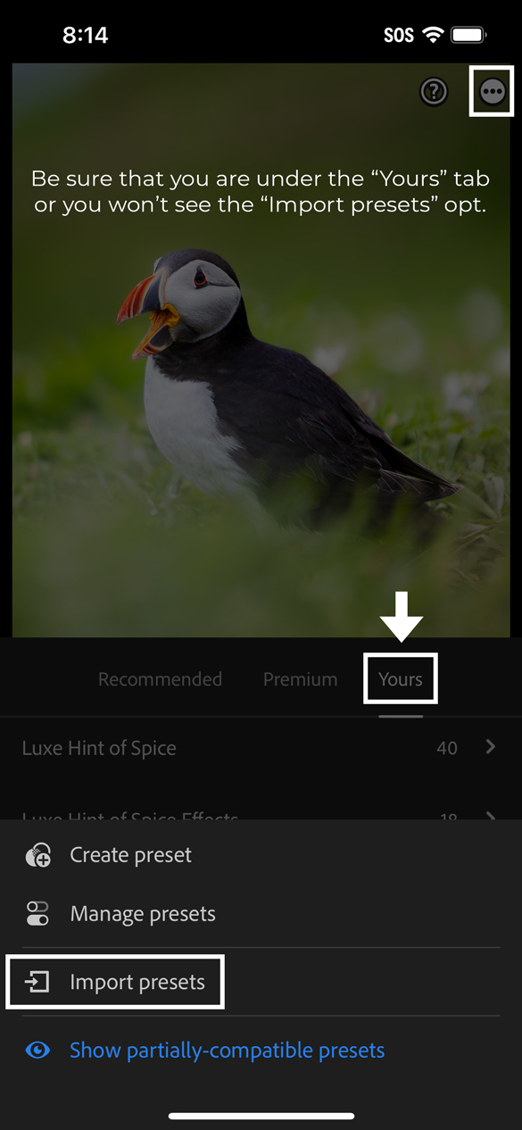 iOS/iPad - Install XMP presets in Lightroom Mobile – The Luxe Lens