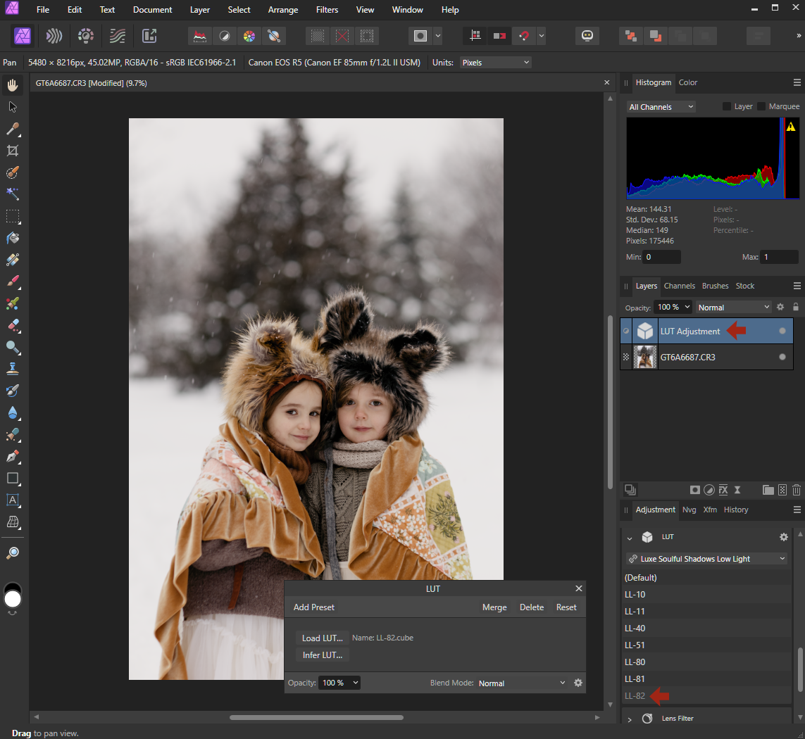 How to Import & Use LUTs in Affinity Photo - Luxe LUTs – The Luxe Lens