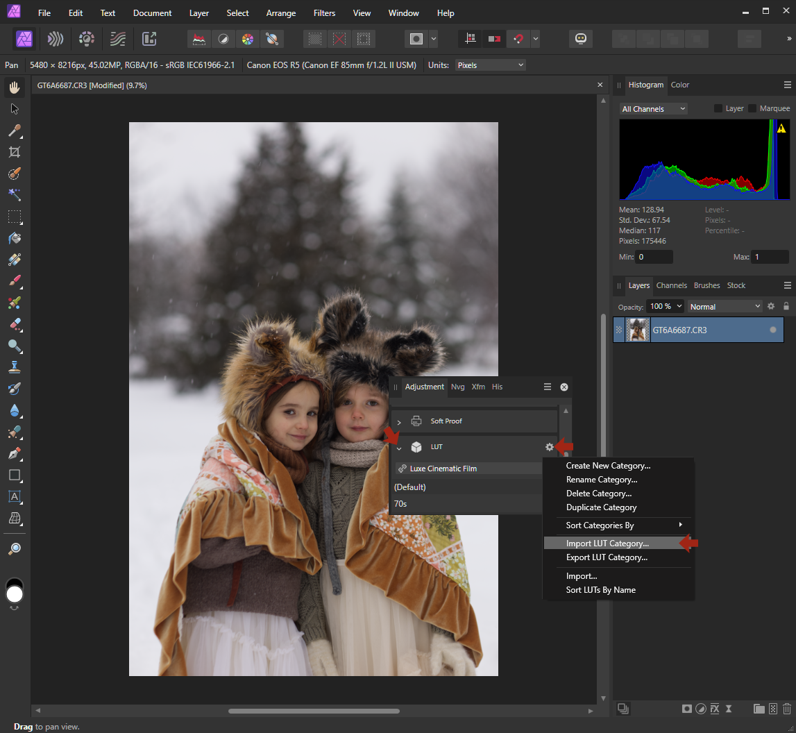 How to Import & Use LUTs in Affinity Photo - Luxe LUTs – The Luxe Lens